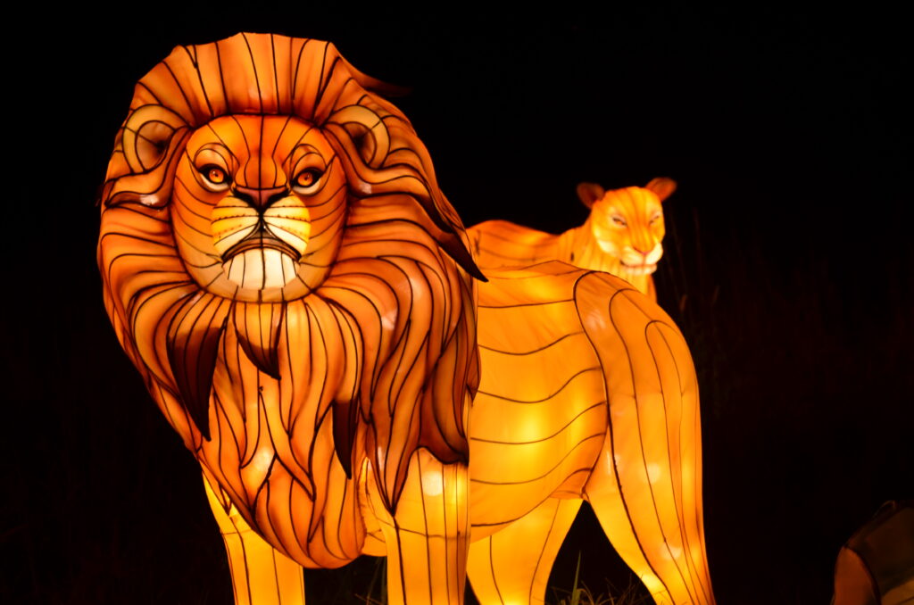 Bronx Zoo Holiday Lights are Back: Here's What You Need to Know ...