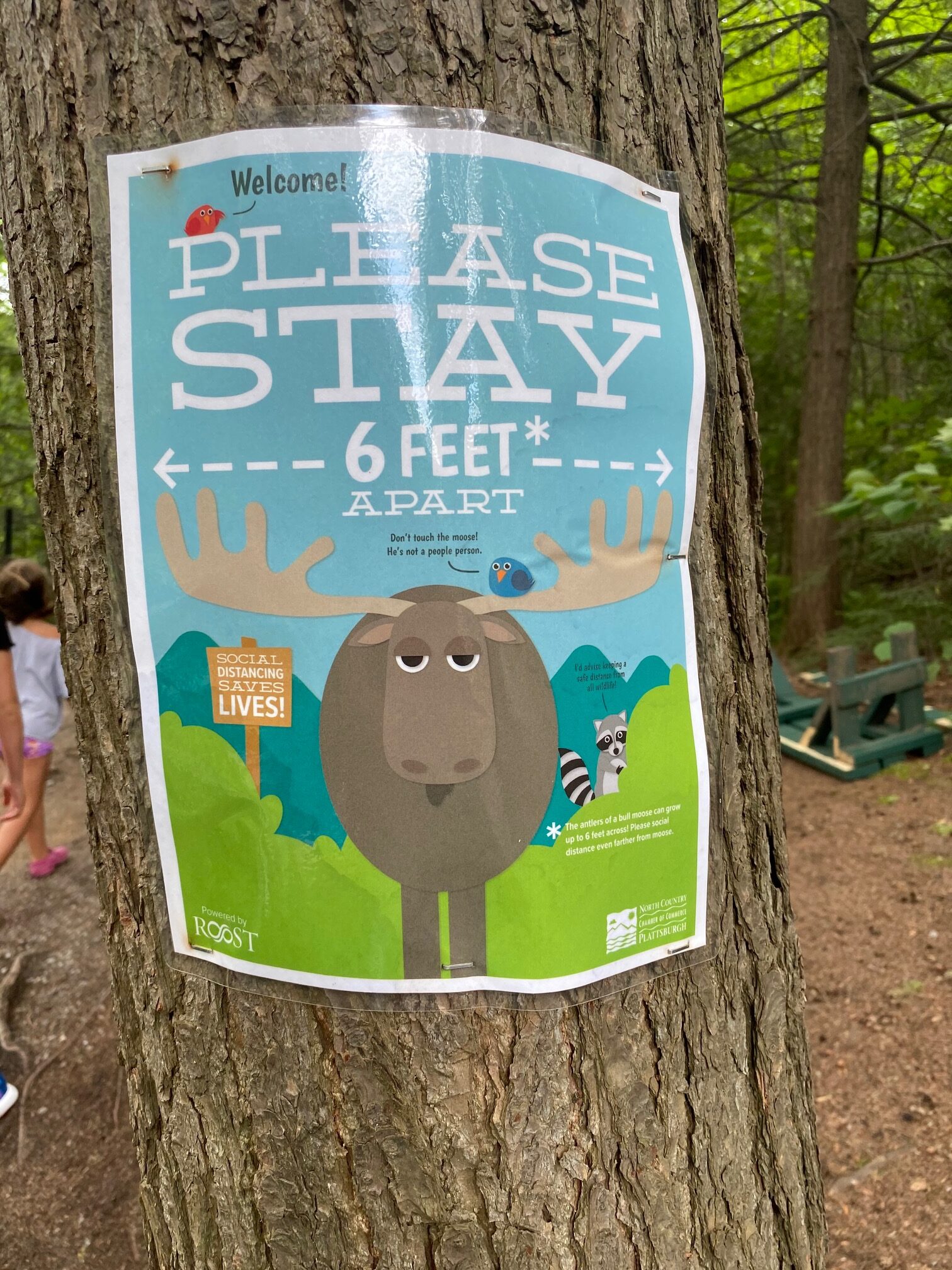 A Day at the High Falls Gorge - Weekend Jaunts