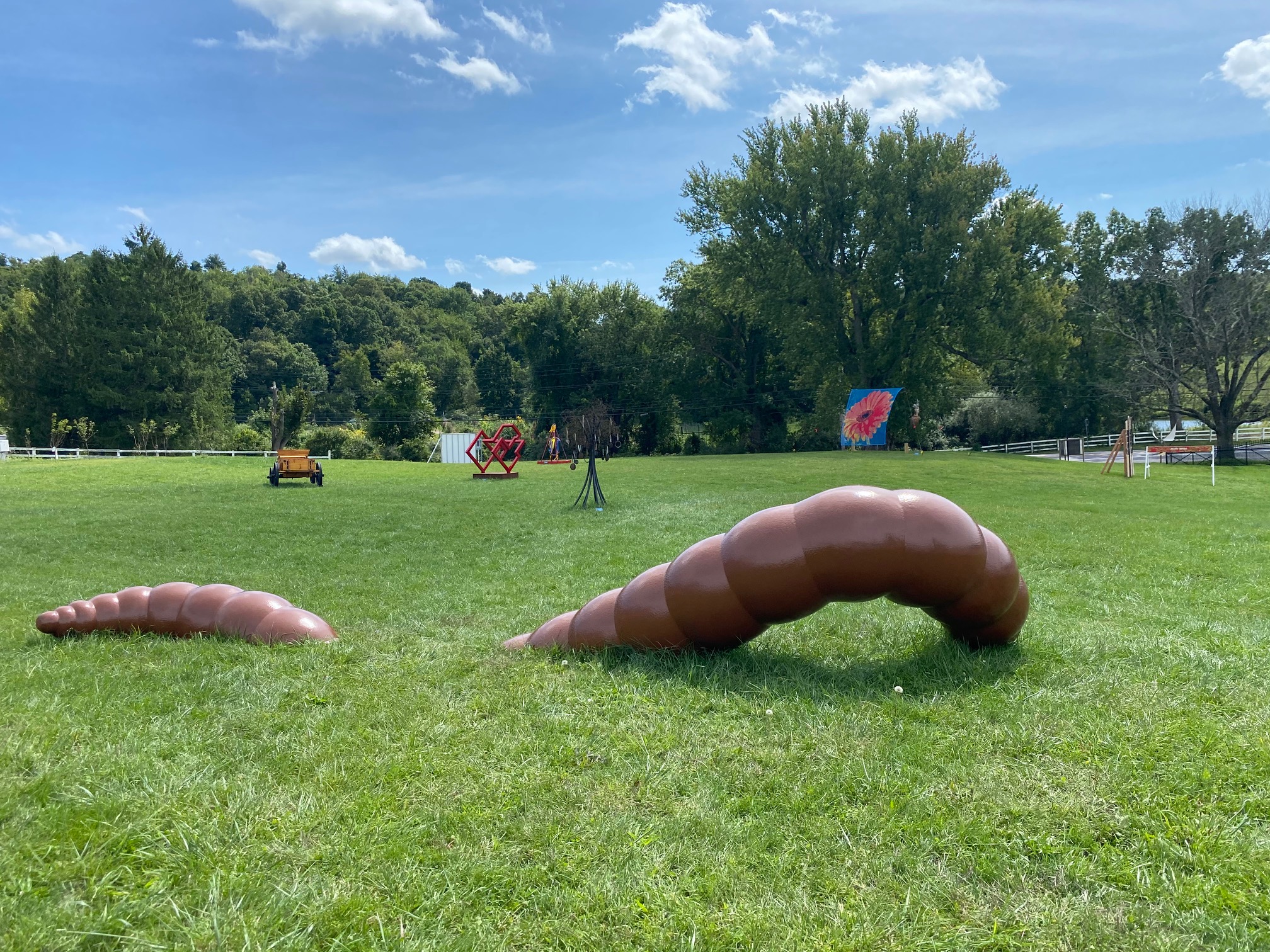 Art Meets Nature at the Collaborative Concepts Exhibit - Weekend Jaunts