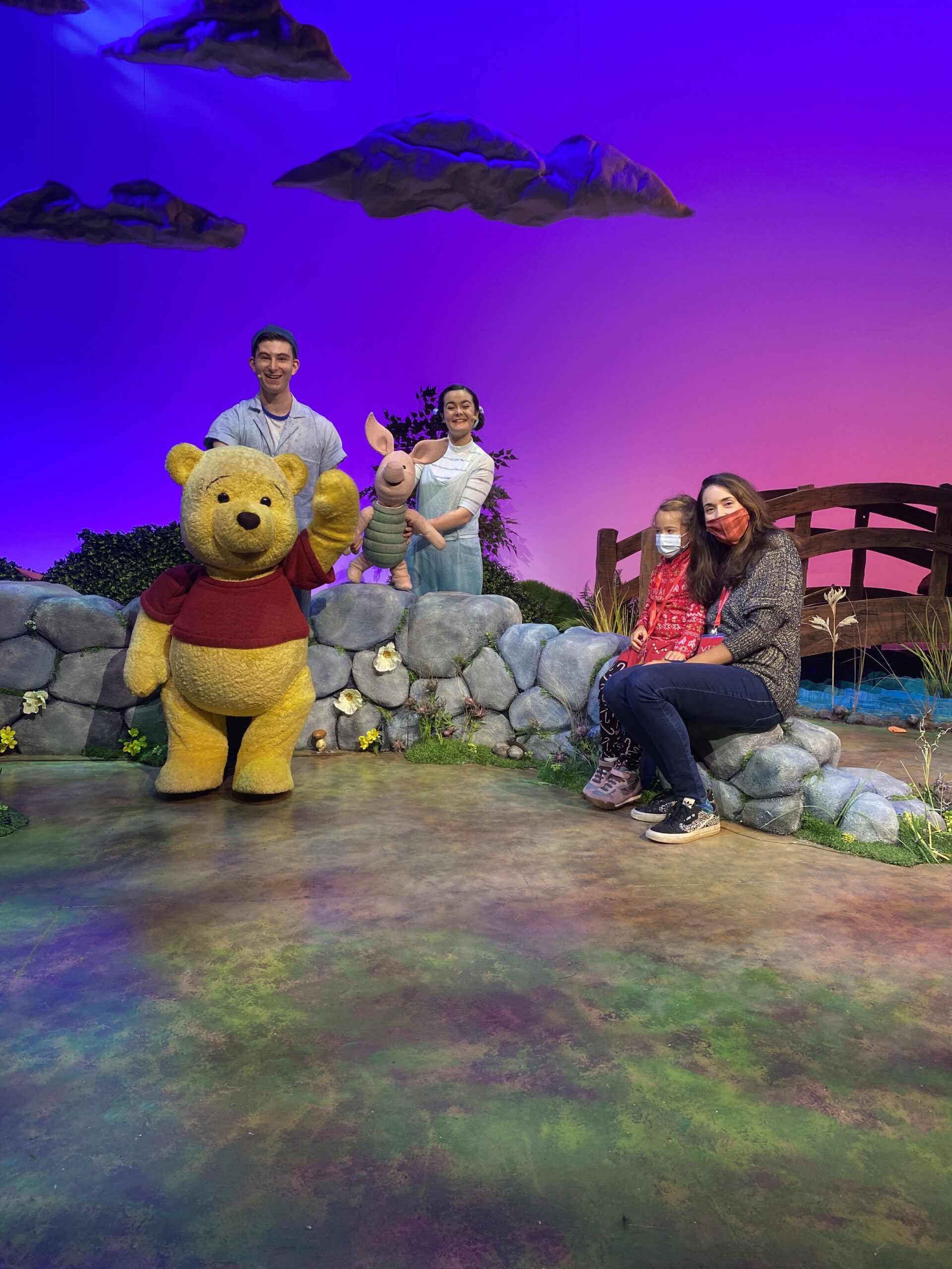 Disney's Winnie the Pooh: A Creative Reimagining of the Classic Tale ...
