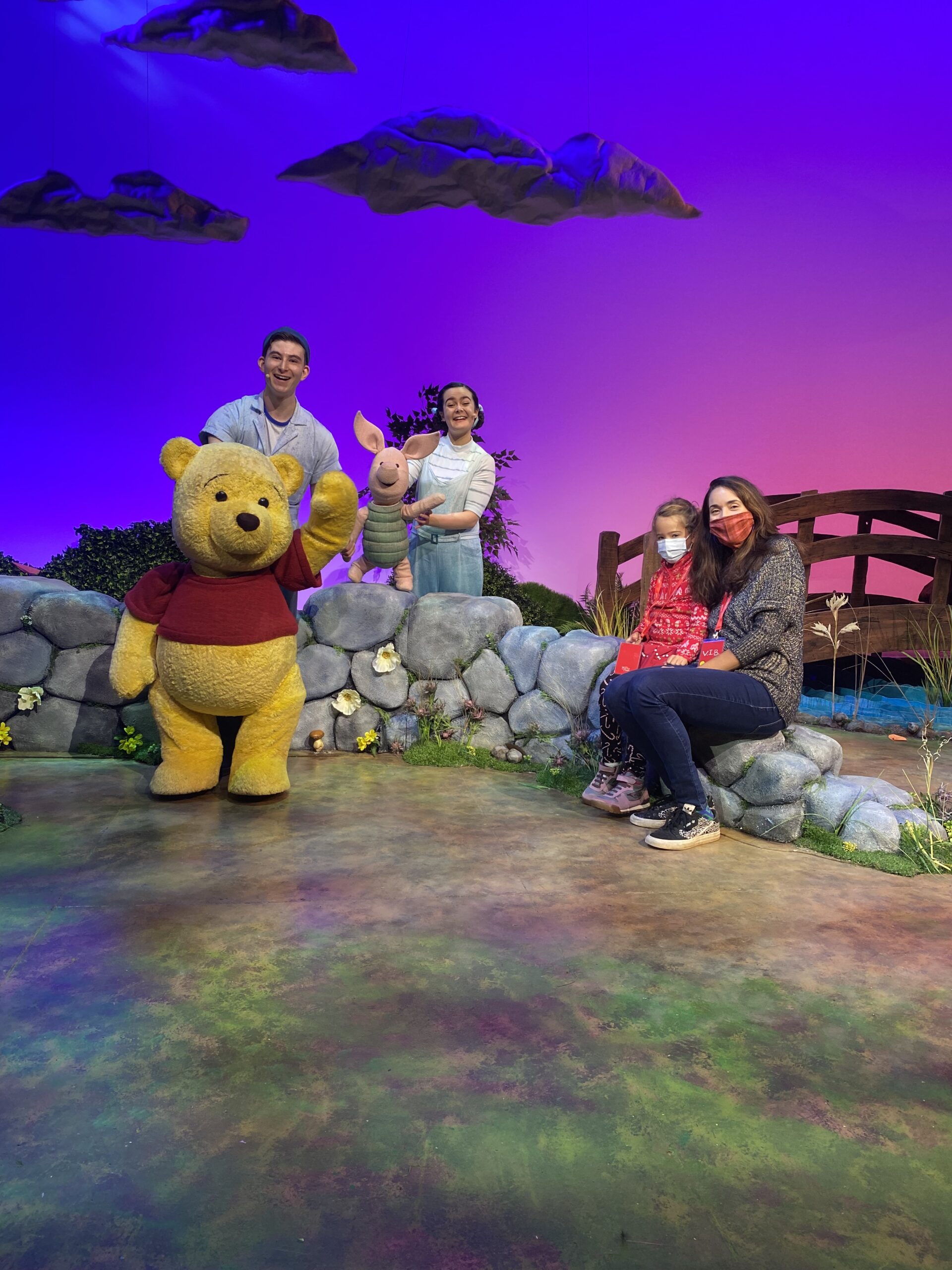 Disney's Winnie the Pooh: A Creative Reimagining of the Classic Tale ...